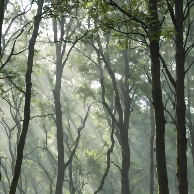 Chat with yaeklore - text or voice, Enjoy AI Chat Free & Safe