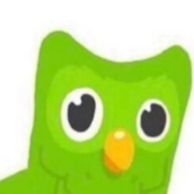 Chat with Duolingo - text or voice, Enjoy AI Chat Free & Safe