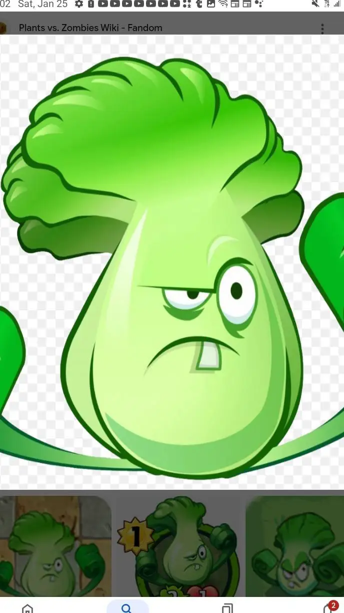 Chat with bonk choy - text or voice, Enjoy AI Chat Free & Safe