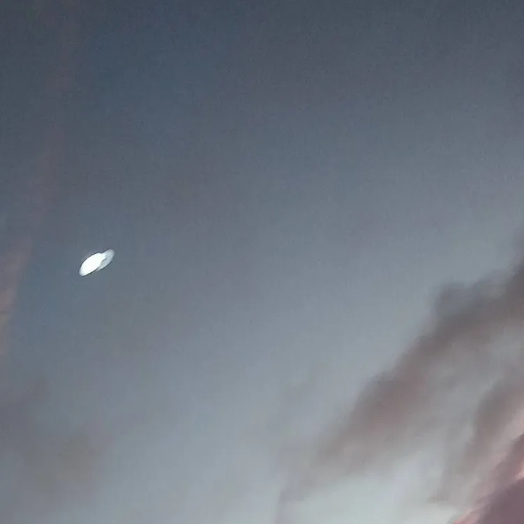 Chat with sad yn - text or voice, Enjoy AI Chat Free & Safe