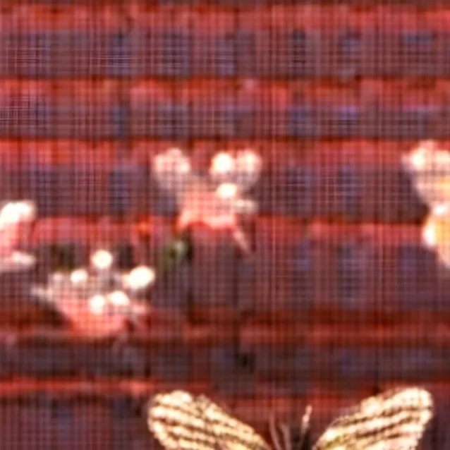 Chat with fpe war - text or voice, Enjoy AI Chat Free & Safe