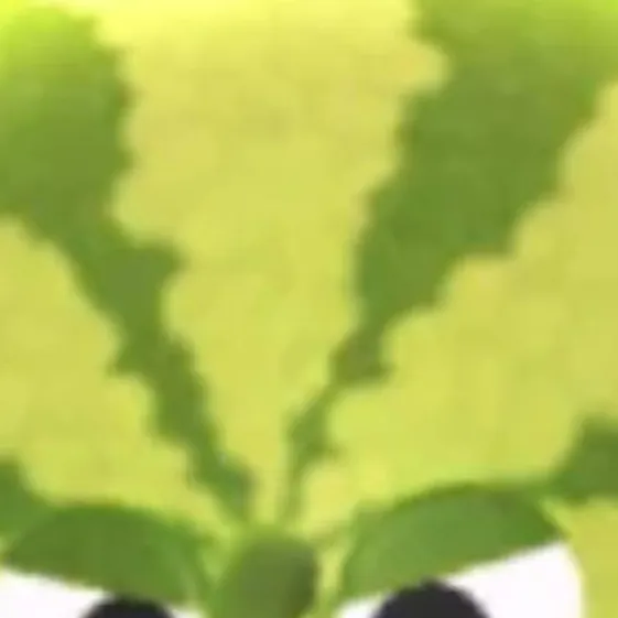 Chat with mama mewon - text or voice, Enjoy AI Chat Free & Safe