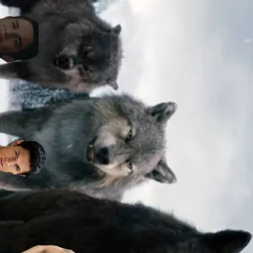 Chat with twilight wolves - text or voice, Enjoy AI Chat Free & Safe