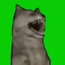 Talkie Profile dancing wolf meme | Talkie AI | fantasy