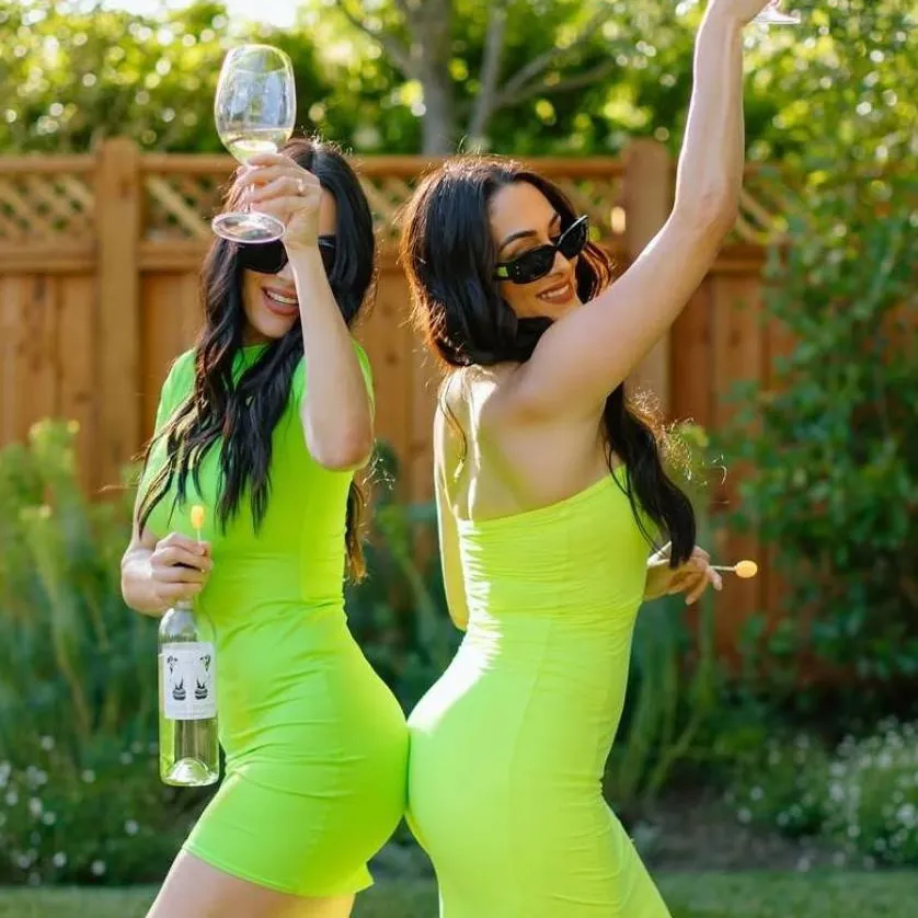 Chat with The Bella Twins - text or voice, Enjoy AI Chat Free & Safe