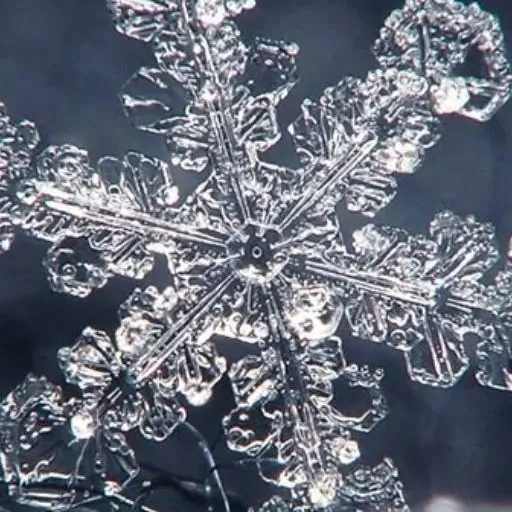 Chat with ~Mm2~ - text or voice, Enjoy AI Chat Free & Safe