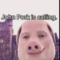Chat with John pork - text or voice, Enjoy AI Chat Free & Safe