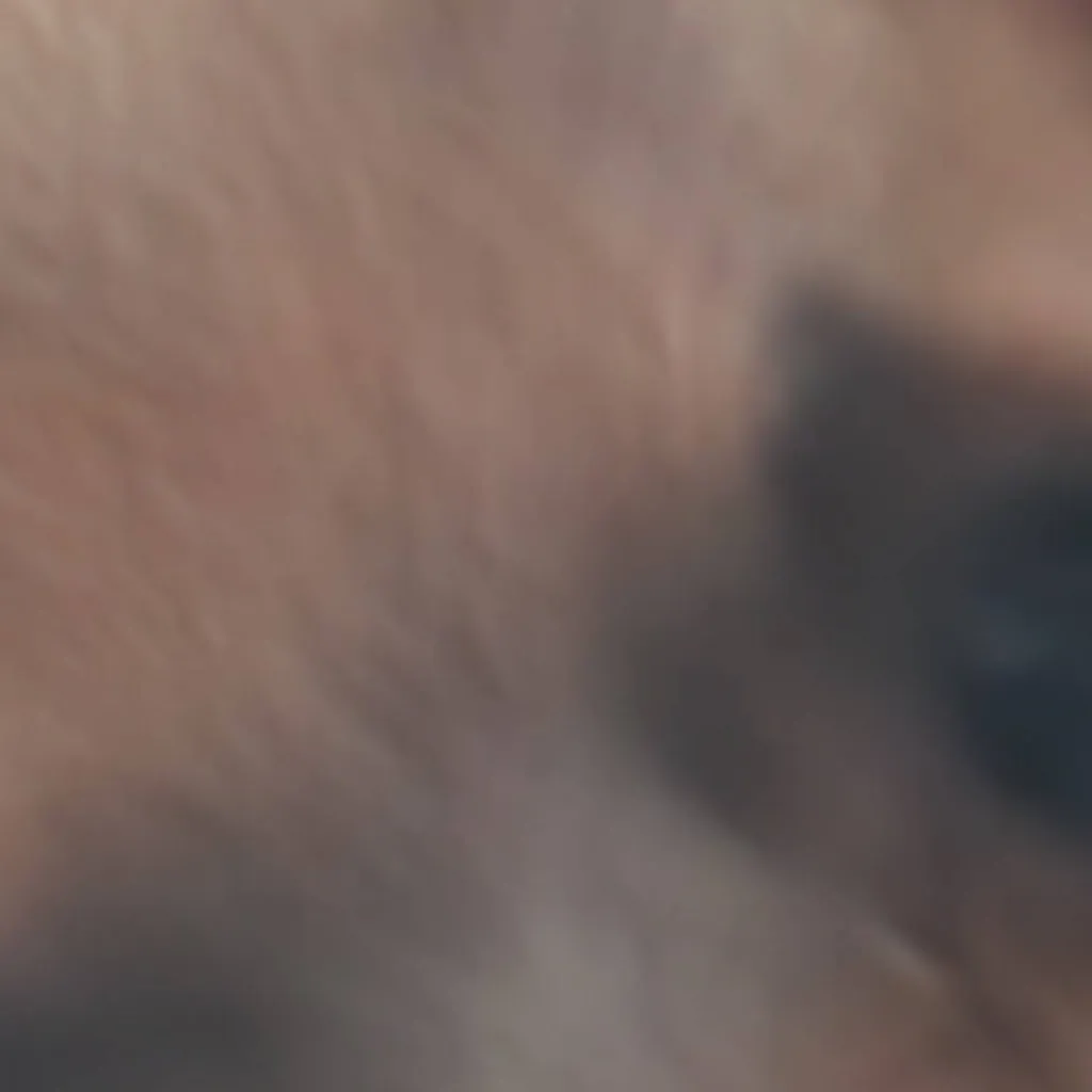 Talkie Profile my dog | Talkie AI