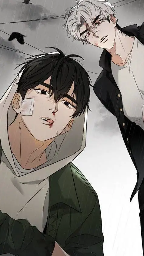 Chat with Love triangle - BL - text or voice, Enjoy AI Chat Free & Safe