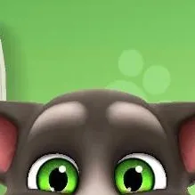 Chat with Talking Tom - text or voice, Enjoy AI Chat Free & Safe