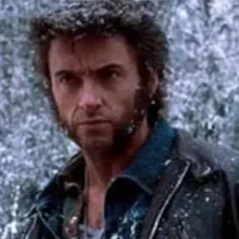 Chat with Wolverine - text or voice, Enjoy AI Chat Free & Safe