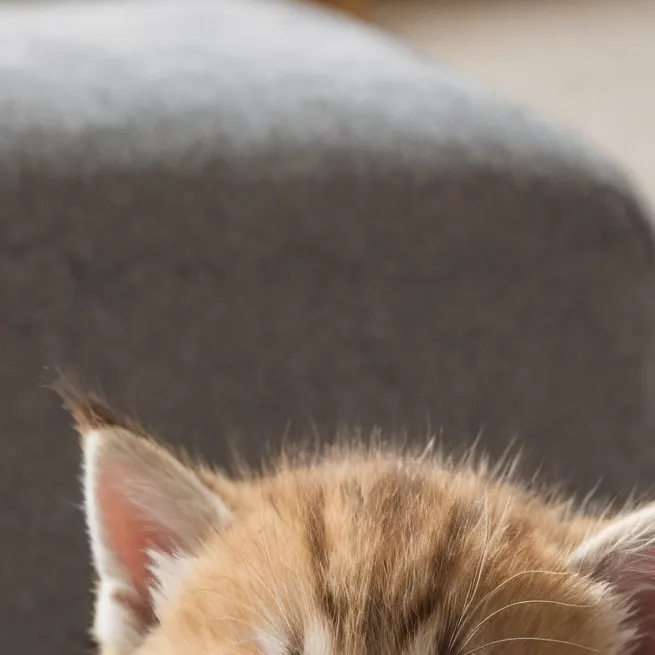 Chat with Using you for fame - text or voice, Enjoy AI Chat Free & Safe