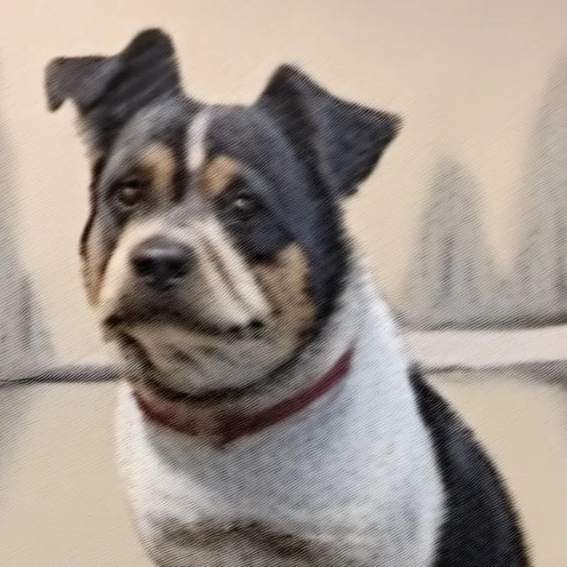 Chat with HH dog - text or voice, Enjoy AI Chat Free & Safe