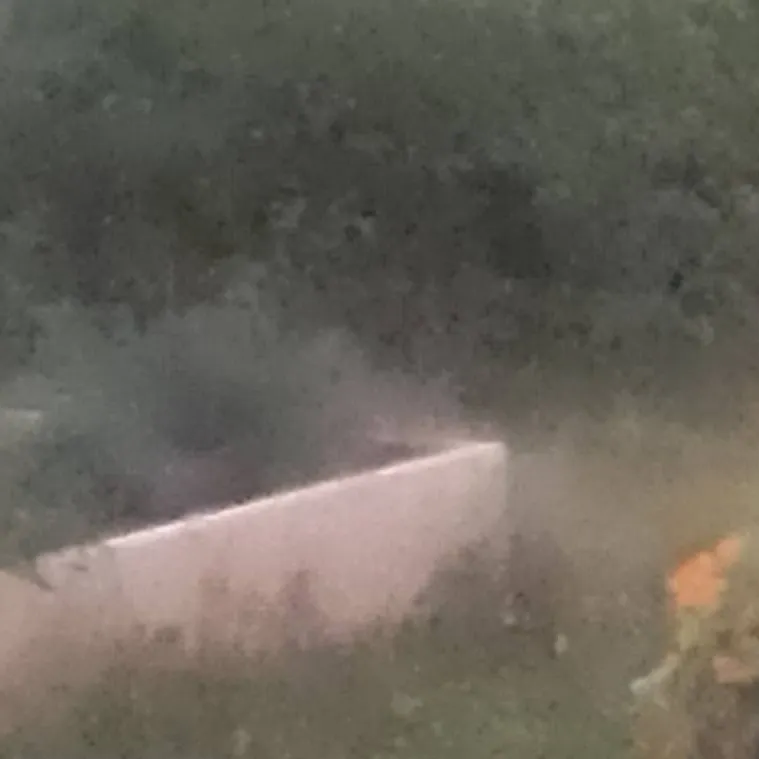 Chat with freedom fighters - text or voice, Enjoy AI Chat Free & Safe