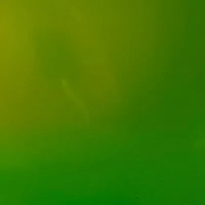 Chat with Bob - text or voice, Enjoy AI Chat Free & Safe