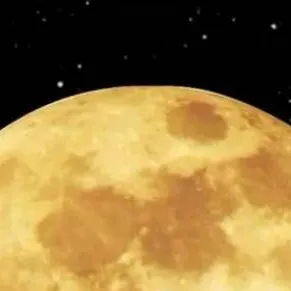 Chat with TBP - text or voice, Enjoy AI Chat Free & Safe