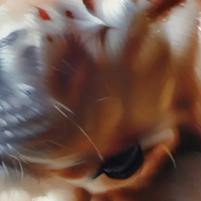 Chat with DW sleep over - text or voice, Enjoy AI Chat Free & Safe