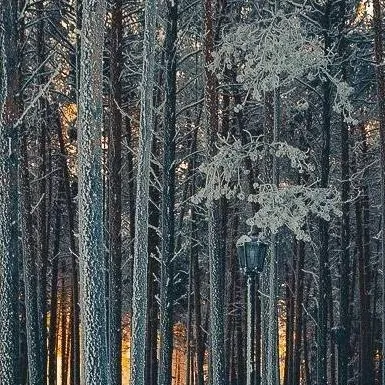 Chat with cod snow - text or voice, Enjoy AI Chat Free & Safe