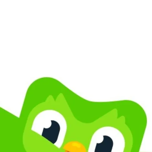 Chat with Duolingo - text or voice, Enjoy AI Chat Free & Safe