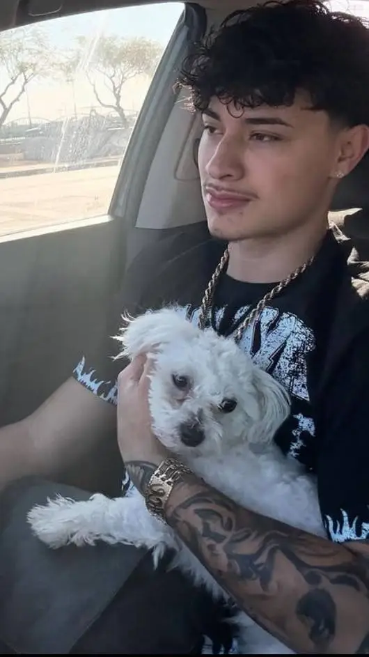 Chat with Alex chino🪐 - text or voice, Enjoy AI Chat Free & Safe