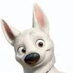 Chat with Bolt - text or voice, Enjoy AI Chat Free & Safe