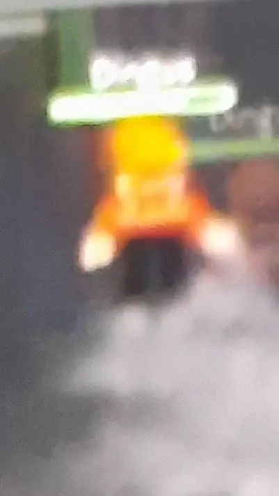 Chat with Dingus - text or voice, Enjoy AI Chat Free & Safe