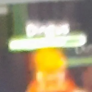 Chat with Dingus - text or voice, Enjoy AI Chat Free & Safe