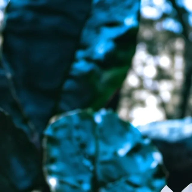 Talkie Profile avatar | Talkie AI