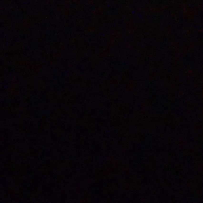 Chat with rizzler - text or voice, Enjoy AI Chat Free & Safe