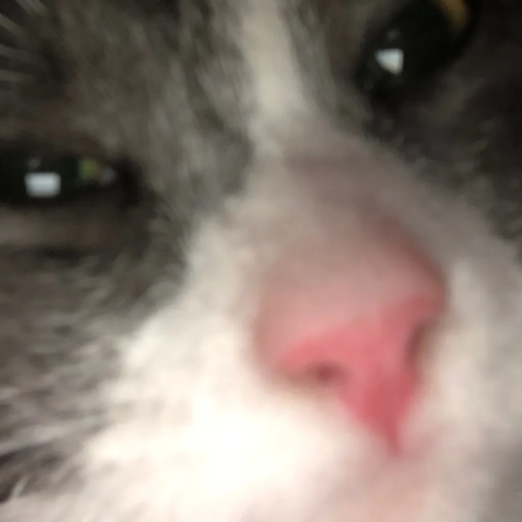 Chat with Rizz tester - text or voice, Enjoy AI Chat Free & Safe