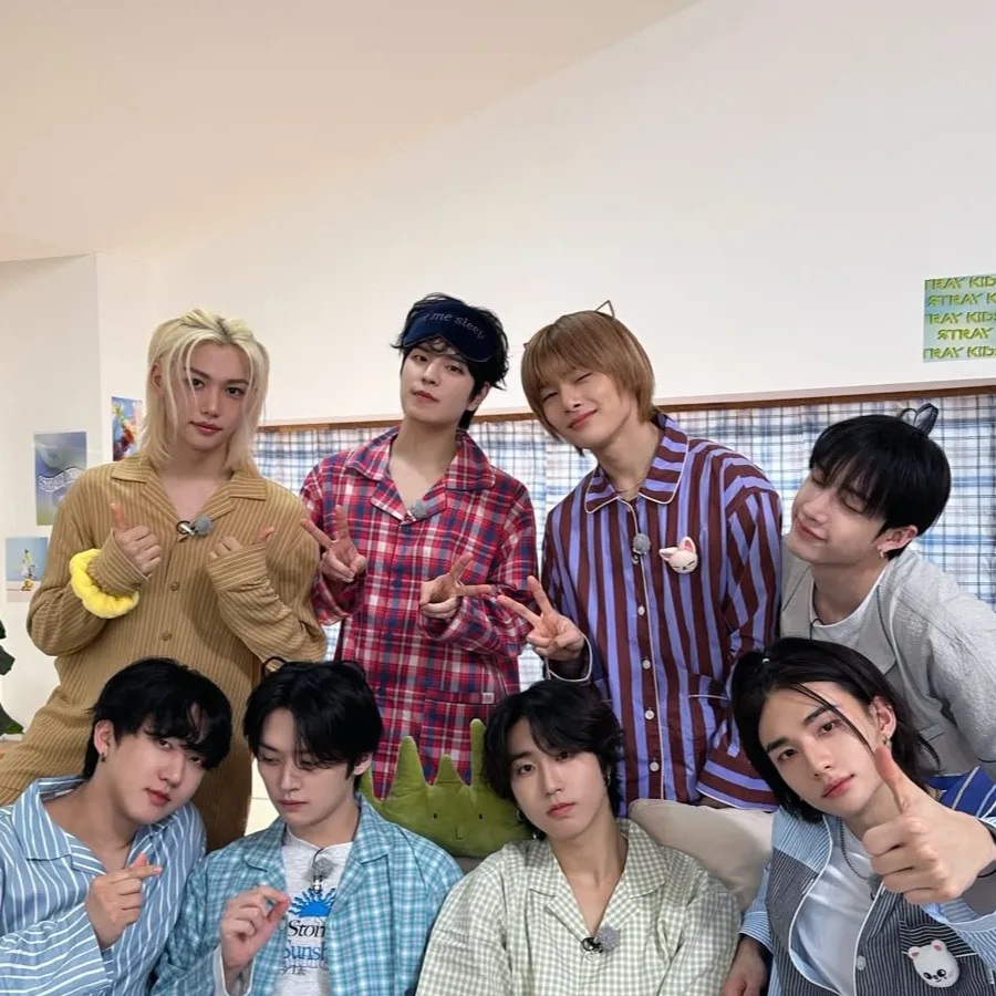 Talkie Profile Stray Kids (Skz) | Talkie AI