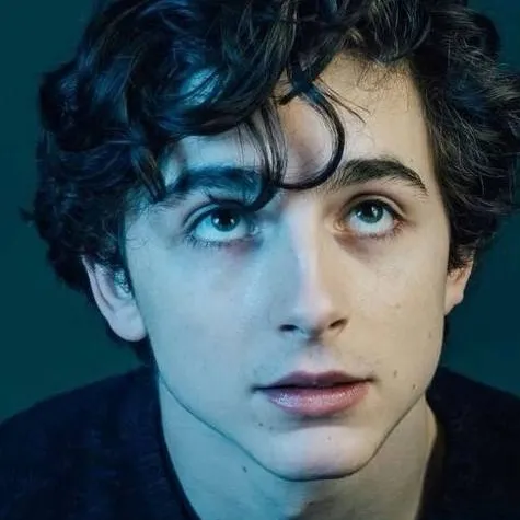 Chat with Timothee Chalamet - text or voice, Enjoy AI Chat Free & Safe
