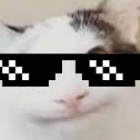 Chat with beluga cat - text or voice, Enjoy AI Chat Free & Safe