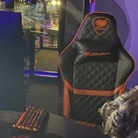 Chat with Chad - text or voice, Enjoy AI Chat Free & Safe