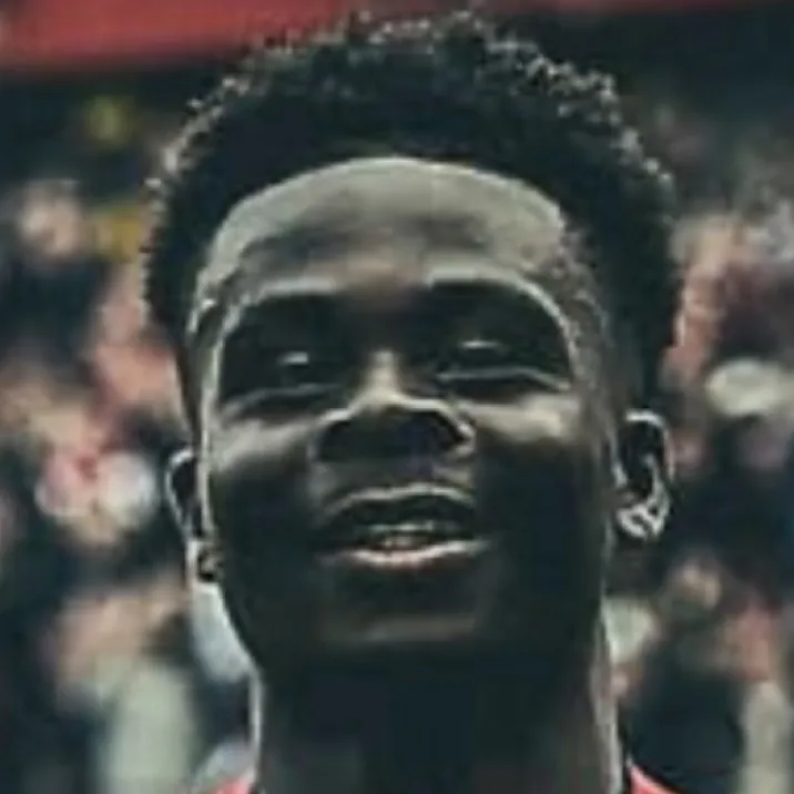 Chat with Saka - text or voice, Enjoy AI Chat Free & Safe