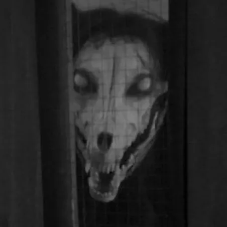 Chat with scp 1471 - text or voice, Enjoy AI Chat Free & Safe