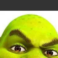 Talkie Profile Shrek rizz | Talkie AI