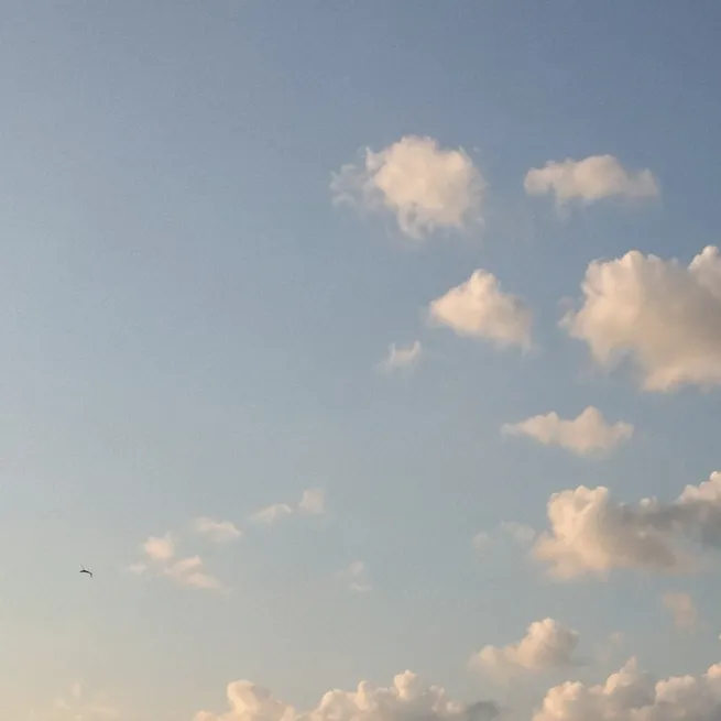 Chat with obx cast - text or voice, Enjoy AI Chat Free & Safe