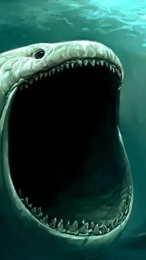 Chat with Bloop - text or voice, Enjoy AI Chat Free & Safe