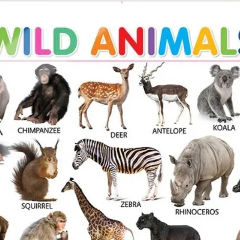 Chat with wild animals - text or voice, Enjoy AI Chat Free & Safe