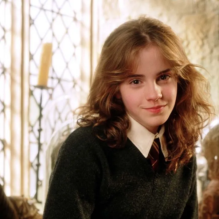 Chat with Hermione Granger - text or voice, Enjoy AI Chat Free & Safe