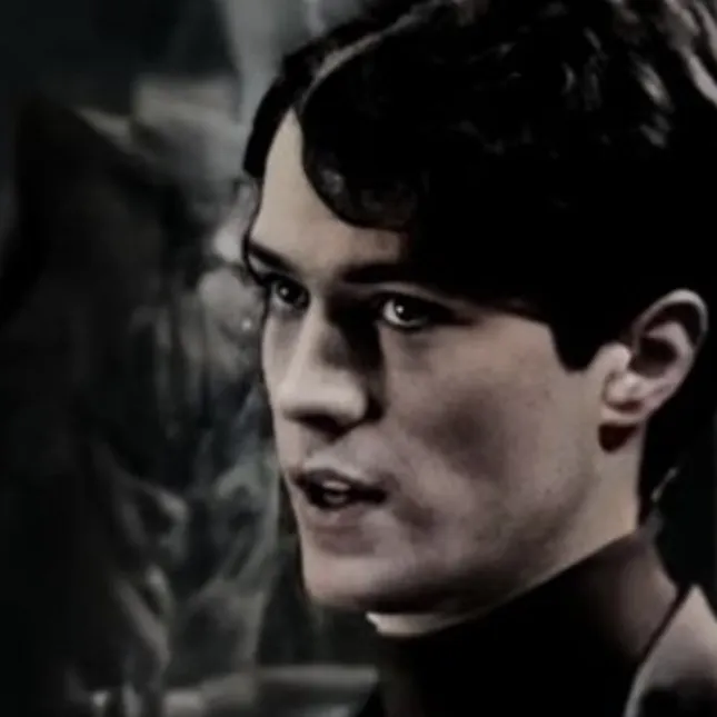 Chat with Tom riddle - text or voice, Enjoy AI Chat Free & Safe