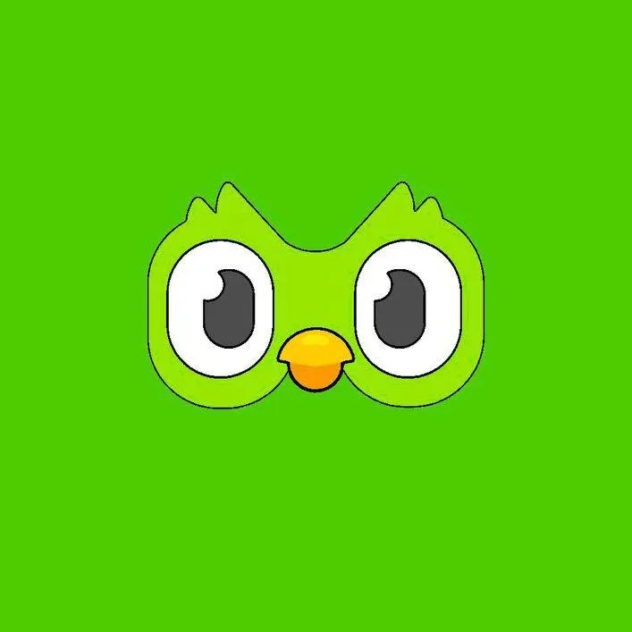 Chat with Duolingo - text or voice, Enjoy AI Chat Free & Safe