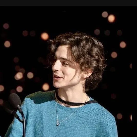 Chat with Timothee Chalamet - text or voice, Enjoy AI Chat Free & Safe