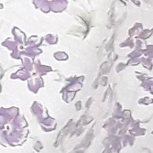 Chat with Roblox Gc story - text or voice, Enjoy AI Chat Free & Safe