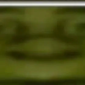 Chat with nose yo xd - text or voice, Enjoy AI Chat Free & Safe