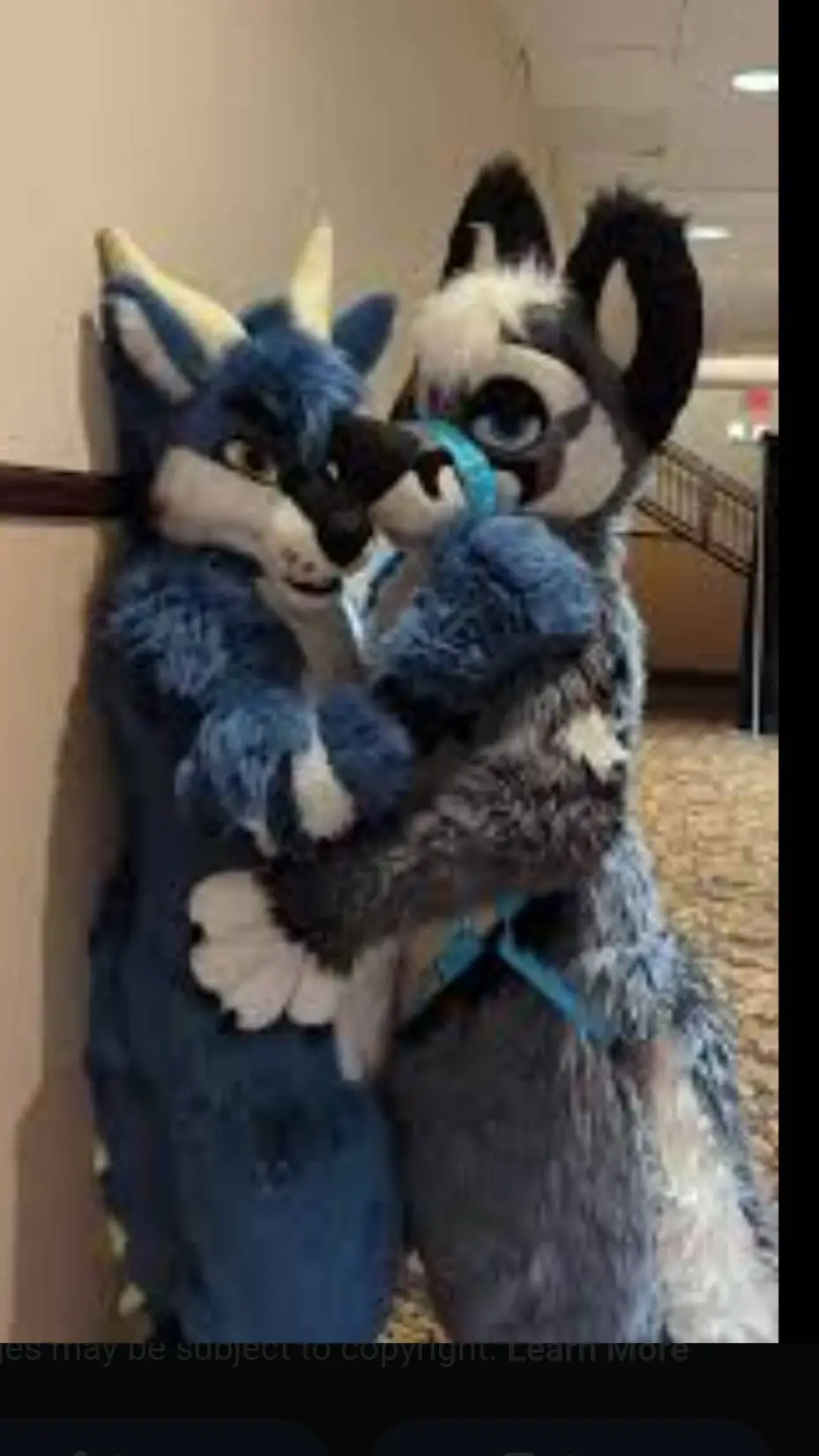 Chat with two Furries. - text or voice, Enjoy AI Chat Free & Safe