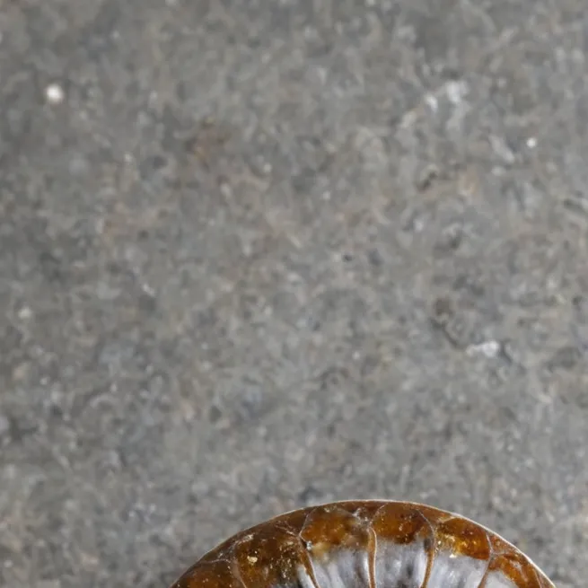 Chat with Sprout x shelly - text or voice, Enjoy AI Chat Free & Safe