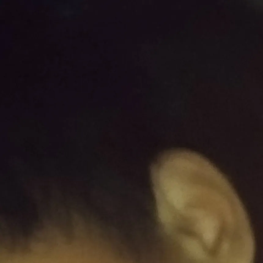 Chat with meme god Carl - text or voice, Enjoy AI Chat Free & Safe