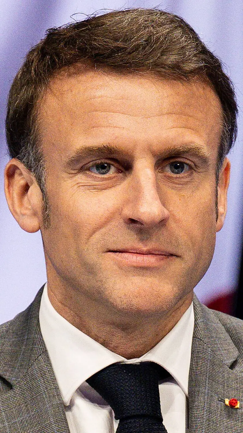 Chat with Emmanuel Macron - text or voice, Enjoy AI Chat Free & Safe